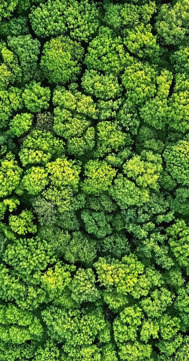 Product longevity and commercial sustainability